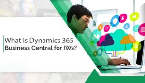 What Is Dynamics 365 Business Central for IWs? - Quick Overview