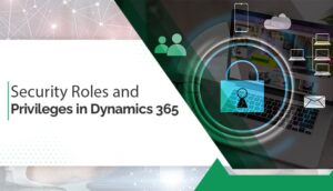 Security Roles And Privileges In Dynamics 365 | EVS Blogs