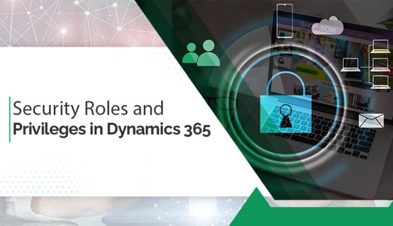 Security Roles And Privileges In Dynamics 365 | EVS Blogs